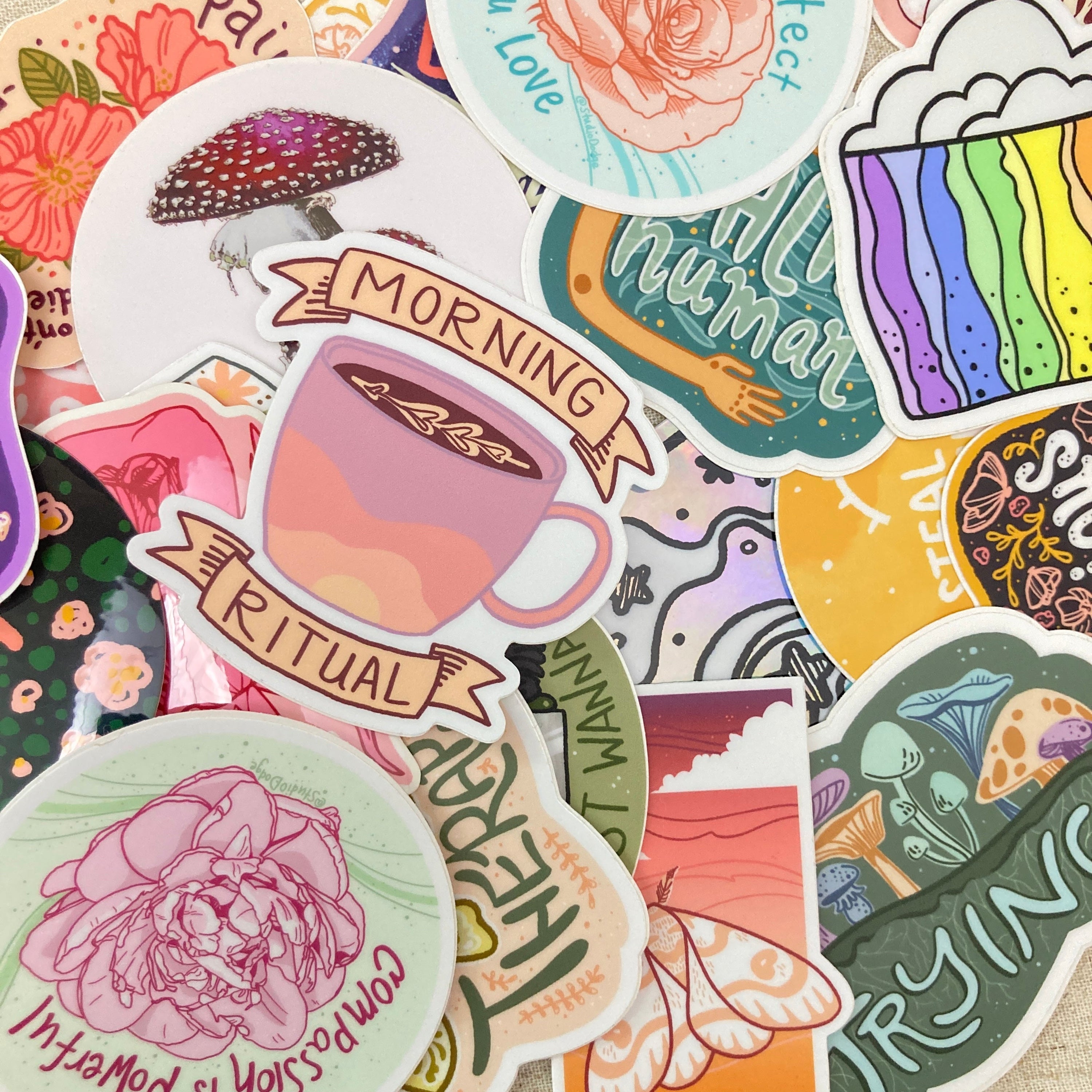 Studio Dodge – StudioDodge